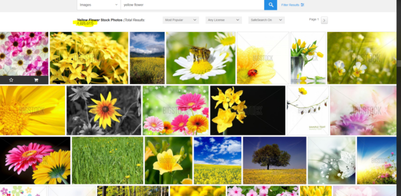 Bigstock: Why I Use it For My Online Picture Needs