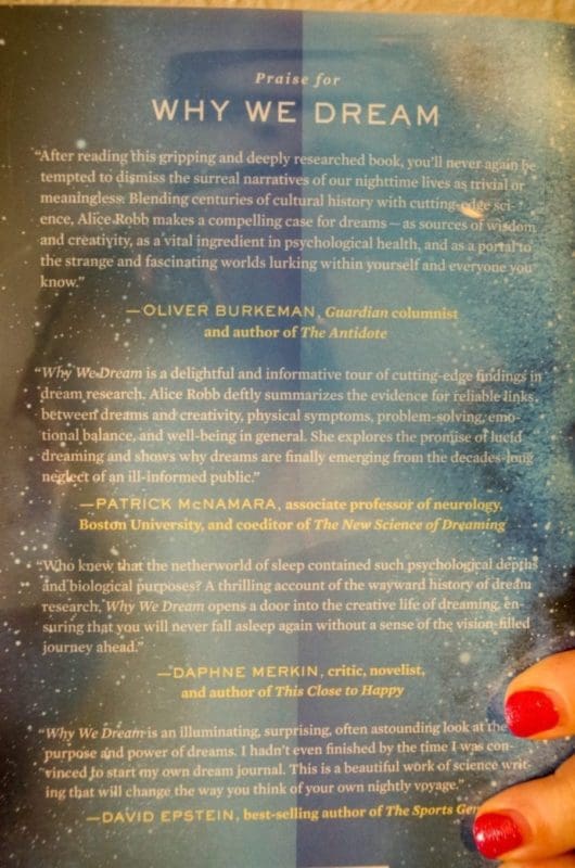 Learn About The Value Of Dreaming In Why We Dream By Alice Robb