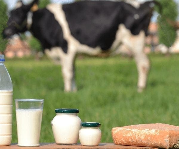 Eric Edmeades Quotes From WildFit About Drinking Disgusting Milk